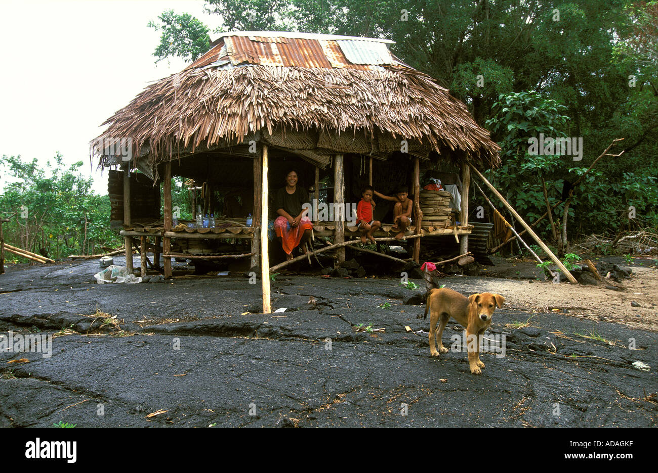 Traditional fale roof hi-res stock photography and images - Alamy