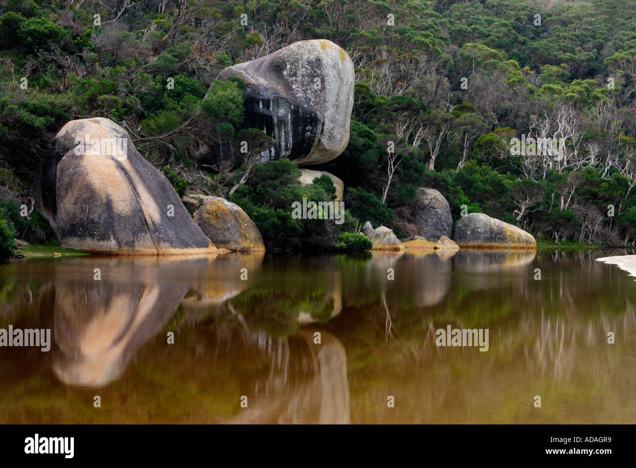 Tidal river Wilson Promontory National Park Victoria Australia Stock ...