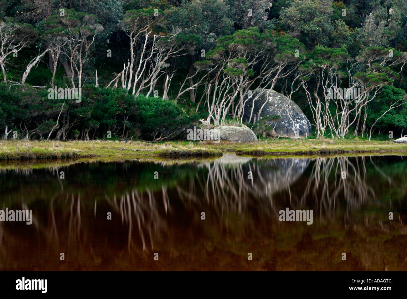 Tidal river Wilson Promontory National Park Victoria Australia Stock ...