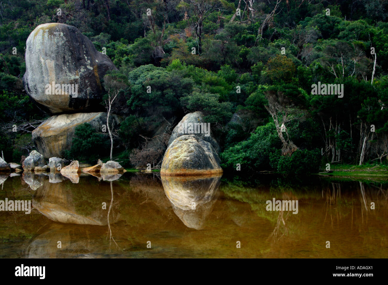 Tidal river Wilson Promontory National Park Victoria Australia Stock ...