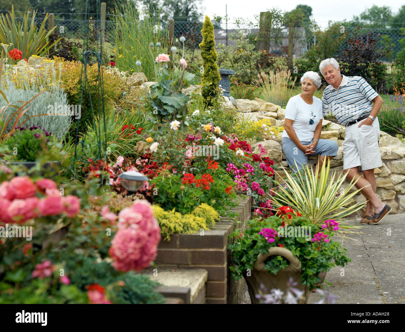 Or 0244 hi-res stock photography and images - Alamy