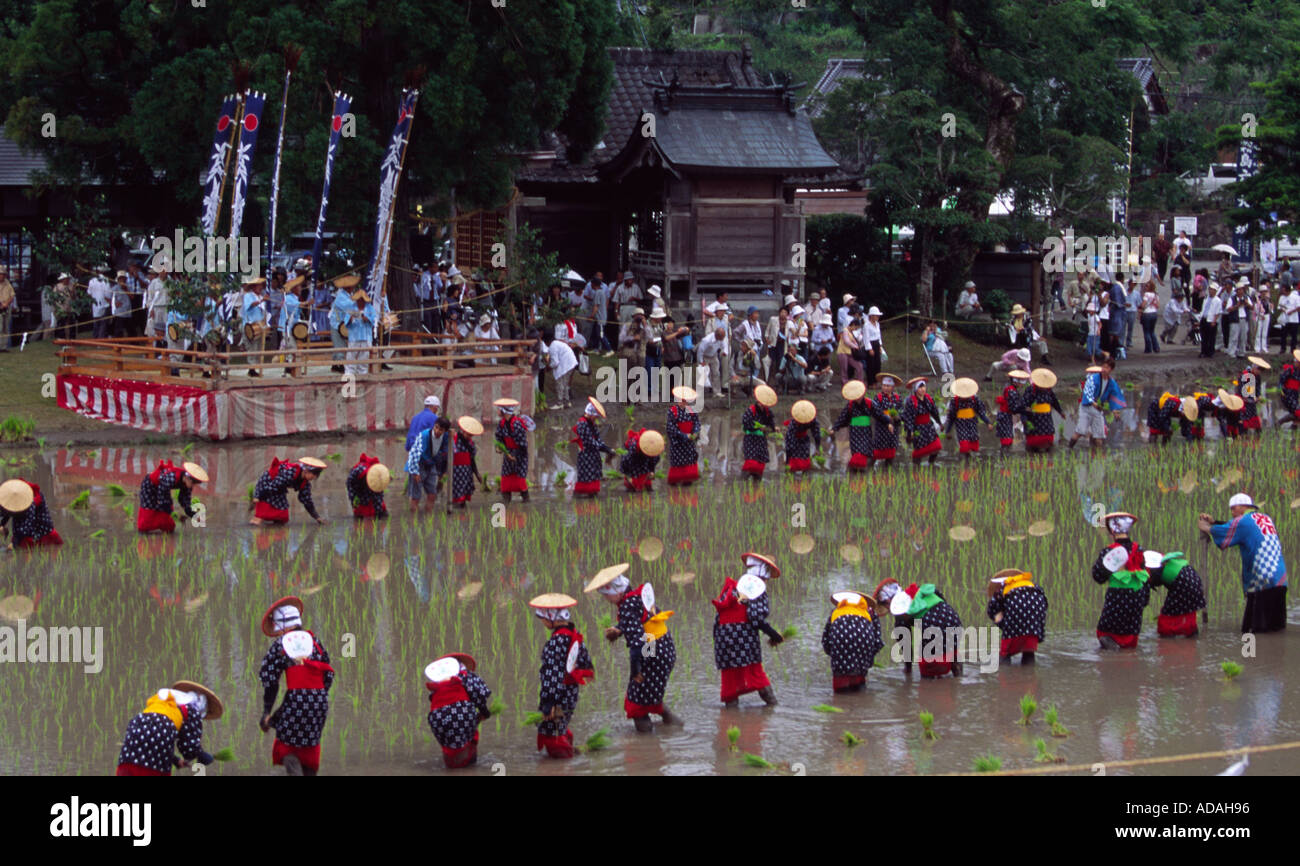 Rice planting fertility festival in Saigo, Japan Stock Photo - Alamy