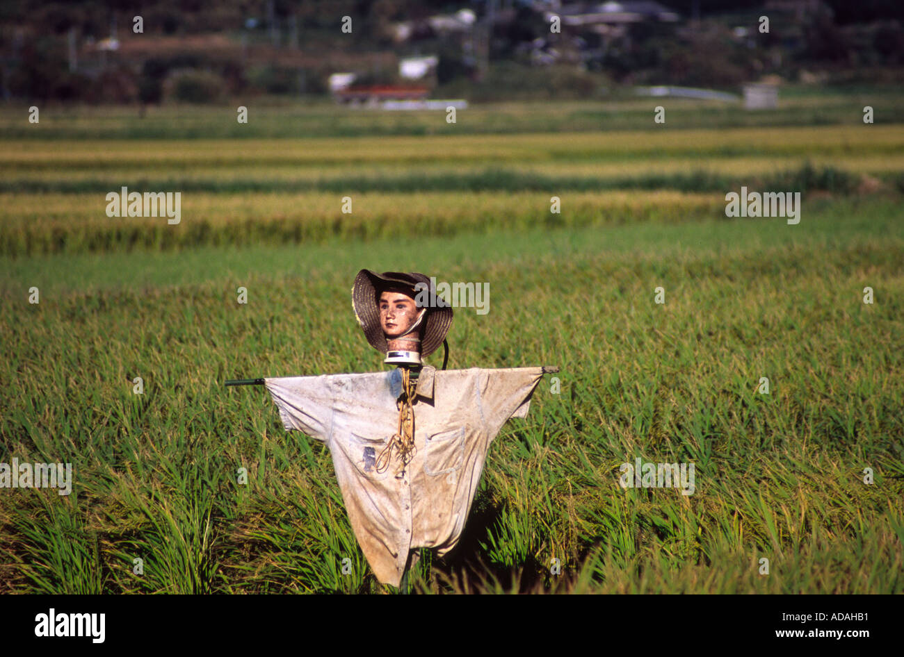 Japanese scarecrow hi-res stock photography and images - Alamy