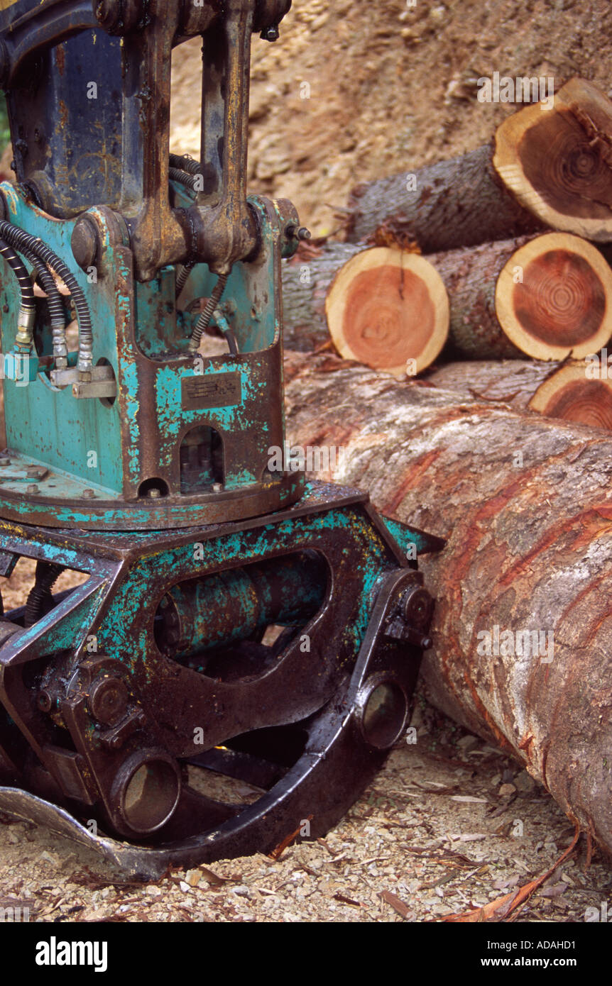 Logging japan hi-res stock photography and images - Alamy