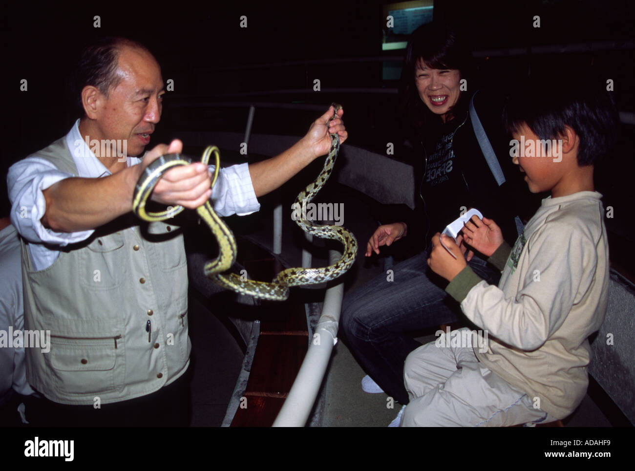 Habu snake show in Okinawa Japan Stock Photo - Alamy