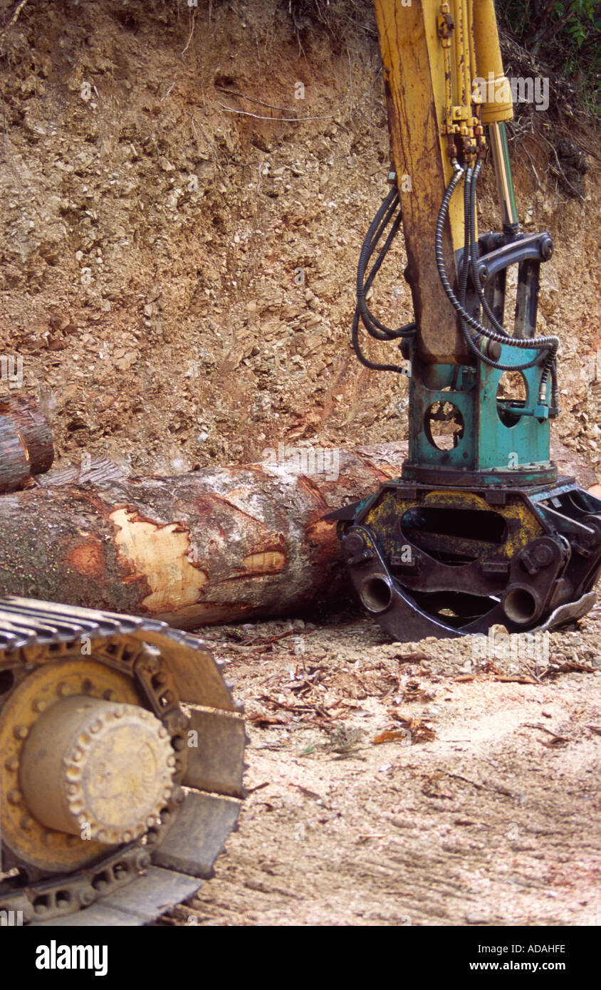 Logging japan hi-res stock photography and images - Alamy