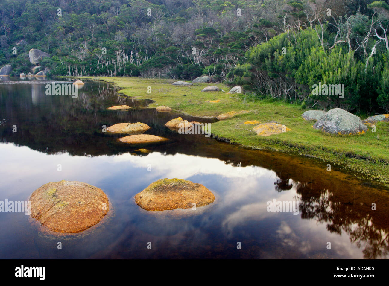 Tidal river Wilson Promontory National Park Victoria Australia Stock ...