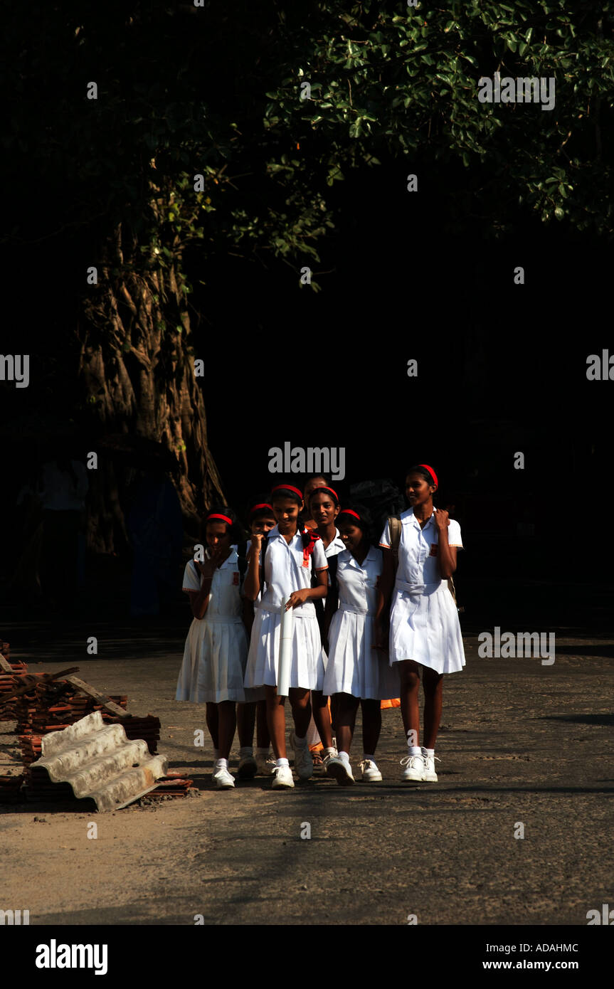 Group girls in school uniform hi-res stock photography and images - Alamy