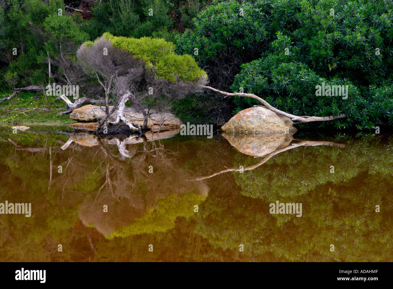 Tidal river Wilson Promontory National Park Victoria Australia Stock ...