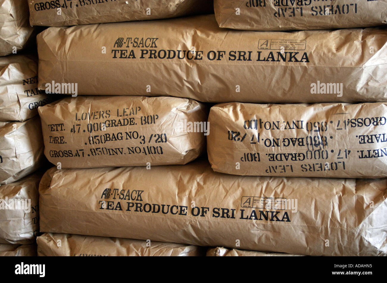 Nuwara Eliya hill station tea factory Stock Photo - Alamy