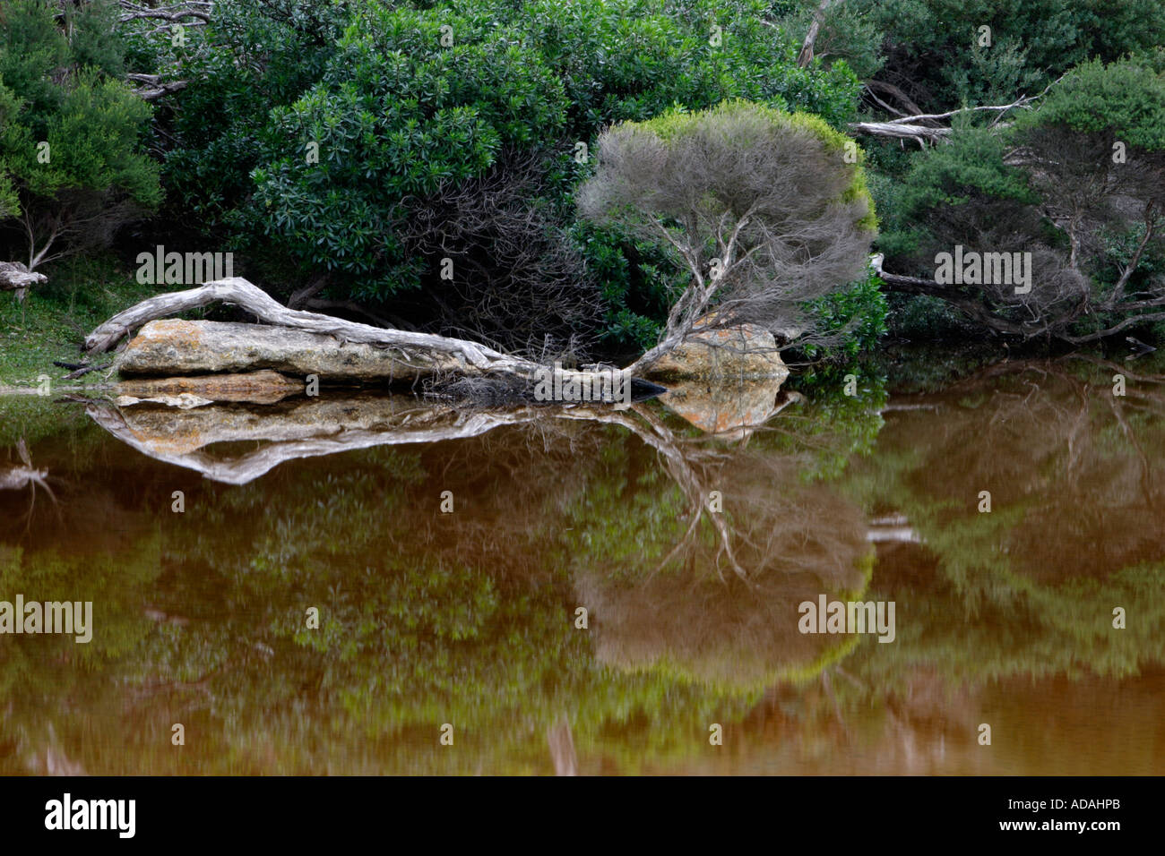 Tidal river Wilson Promontory National Park Victoria Australia Stock ...