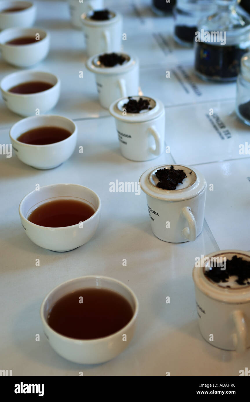 Ceylon estate hi-res stock photography and images - Alamy