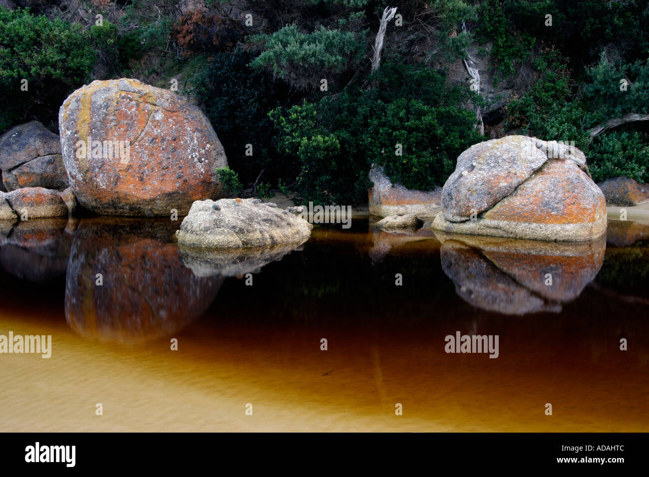 Tidal river Wilson Promontory National Park Victoria Australia Stock ...