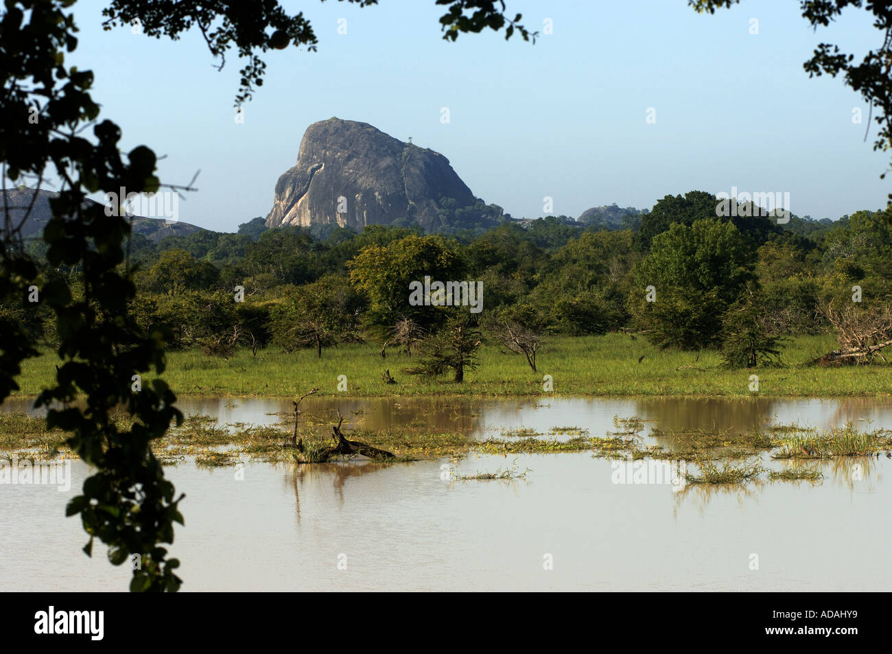 Yala swamp hi-res stock photography and images - Alamy