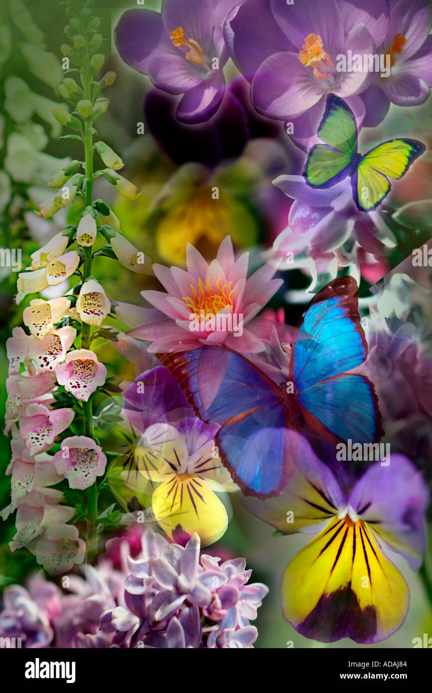 Spring Flowers Collage Stock Photo - Alamy
