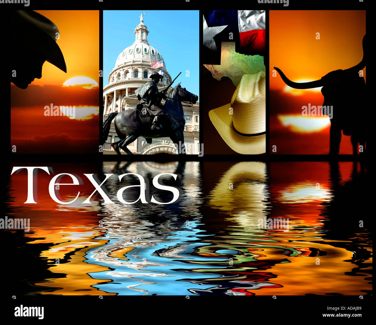 Signs Symbols of the State of Texas Texans State Capitol Austin ...