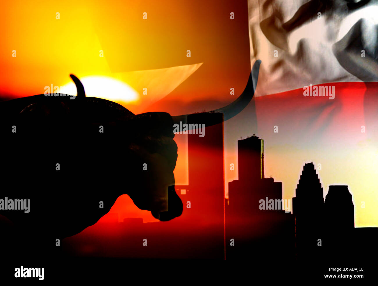 Texas Longhorn Cow Texas Flag Houston Texas Skyline Concept Photo Stock ...