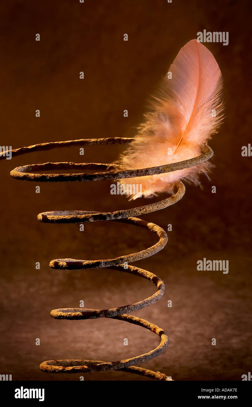 Feather and Spring Stock Photo - Alamy