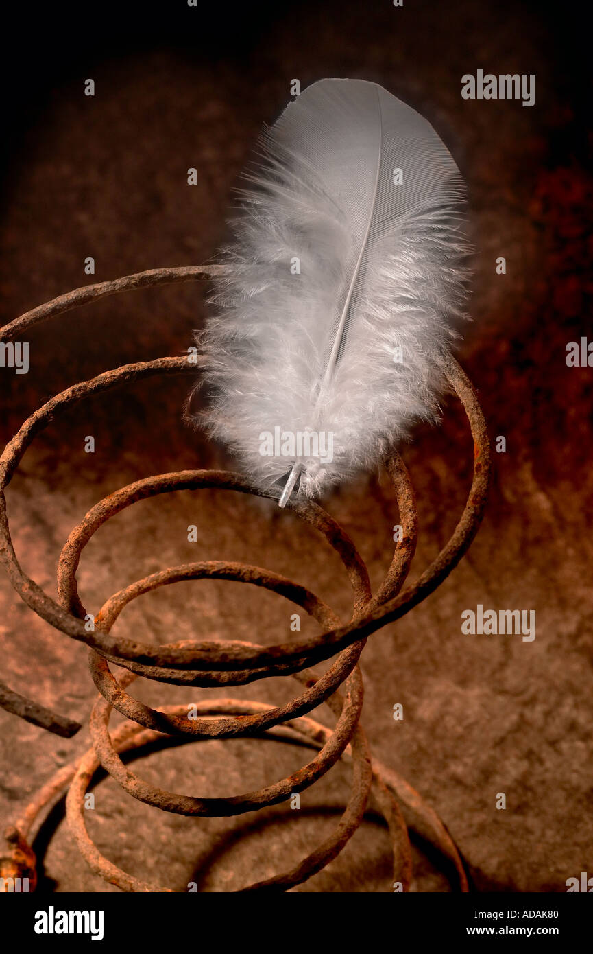 Feather and Spring Stock Photo - Alamy
