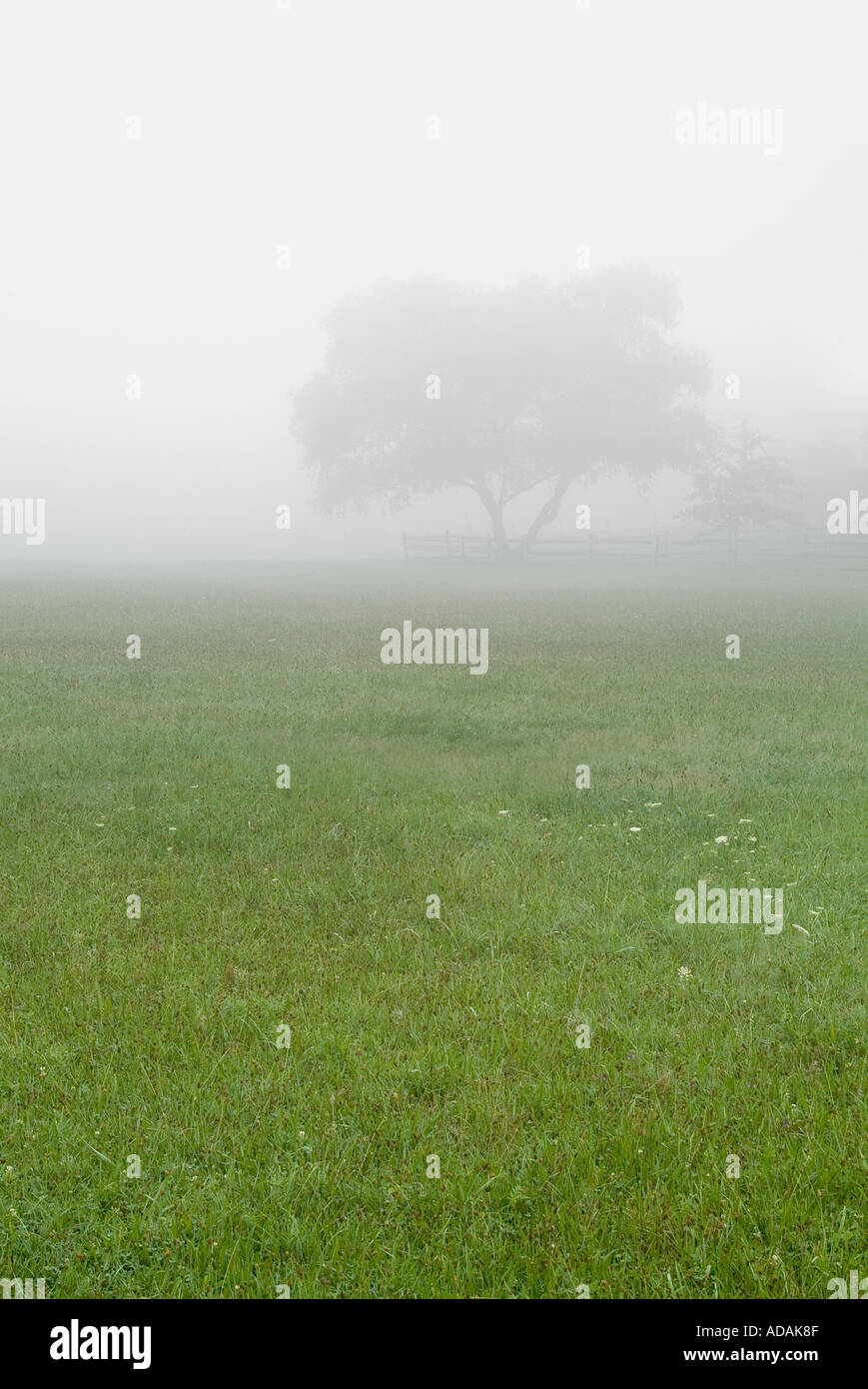 Glebe field view hi-res stock photography and images - Alamy