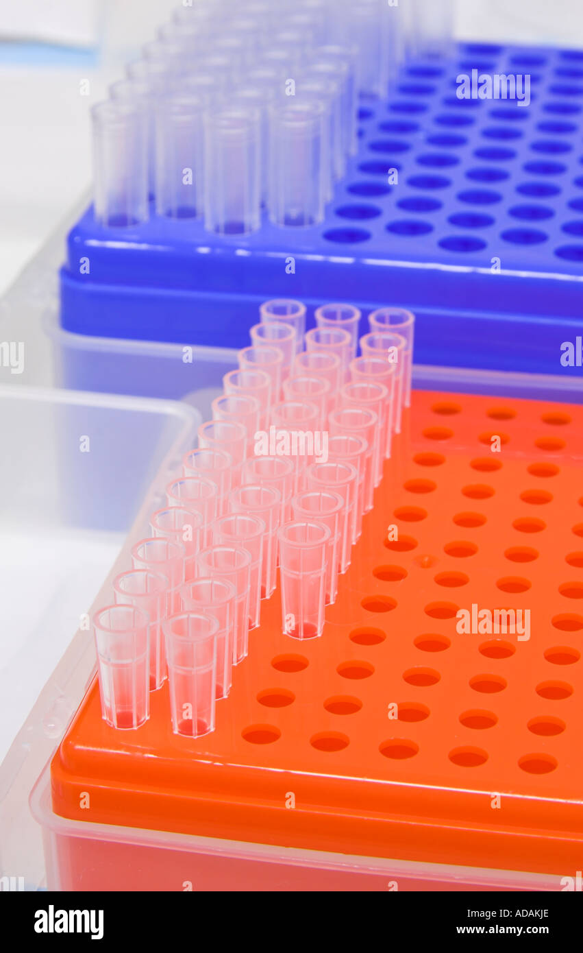 Disposable tips for a pipette Stock Photo - Alamy