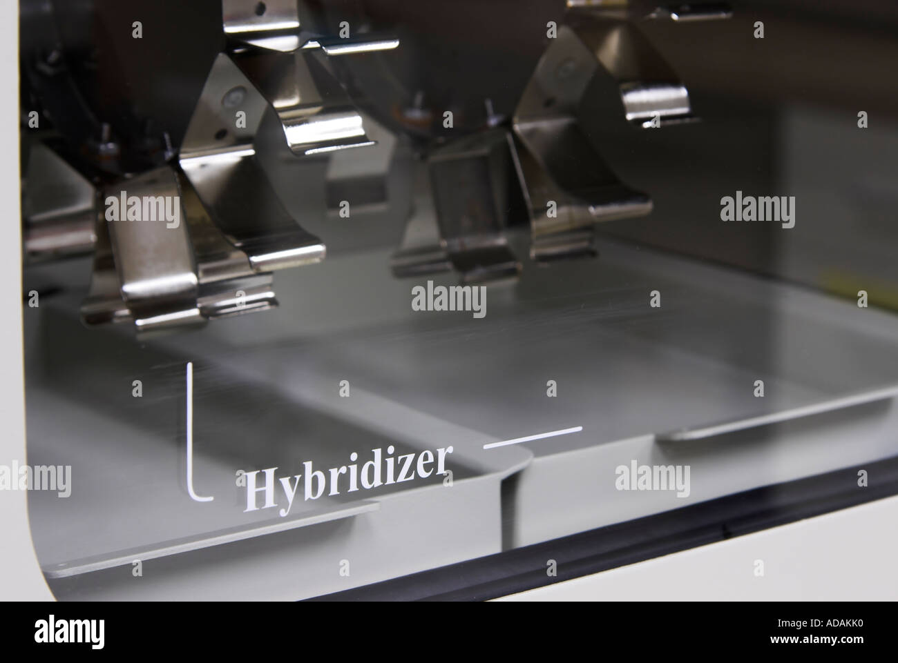 Probe hybridization hi-res stock photography and images - Alamy