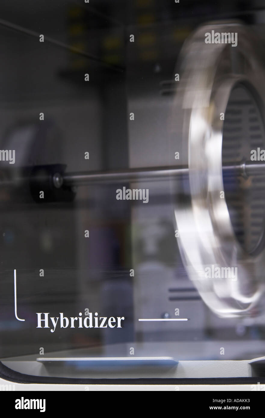 Hybridizer hi-res stock photography and images - Alamy