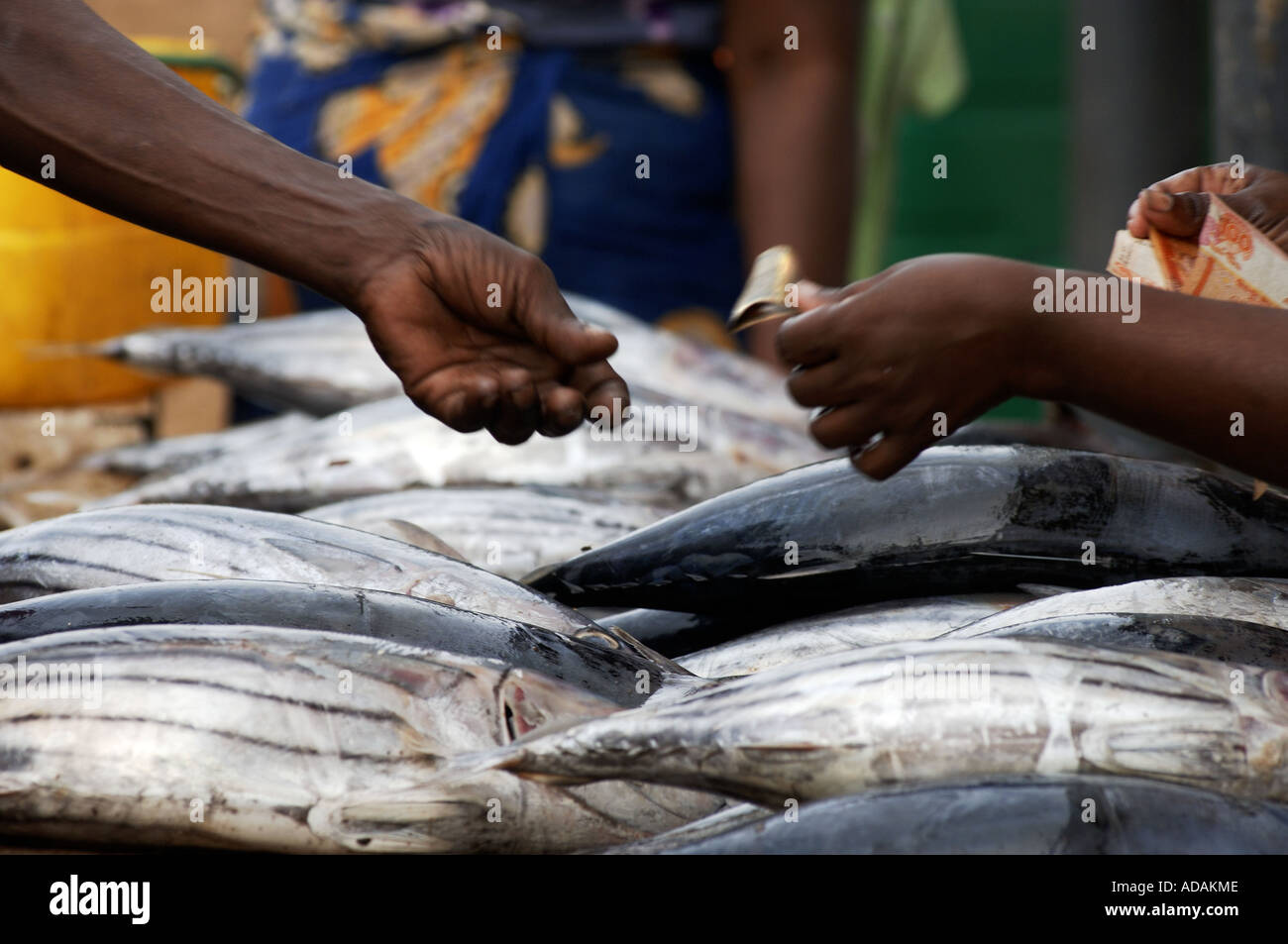 Negombo fish market Stock Photo - Alamy