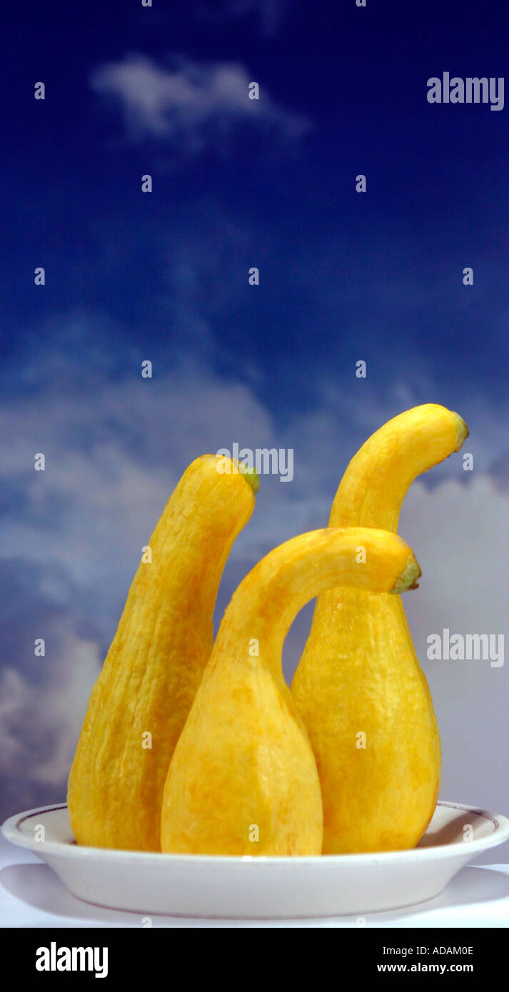Food Vegetables Yellow Squashes Health Food Stock Photo - Alamy