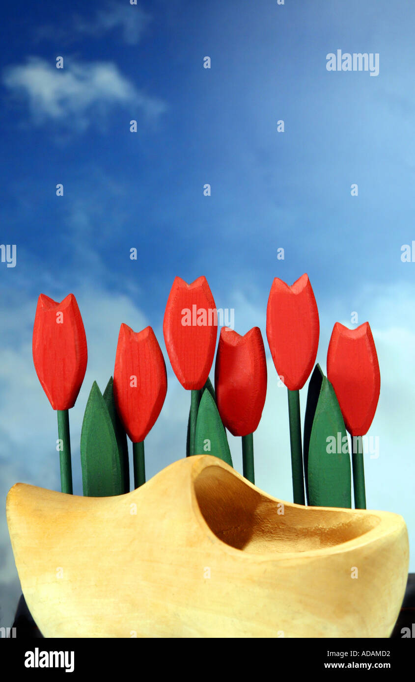 Signs and Symbols of Holland The Netherlands Tulips and Wooden Shoe ...