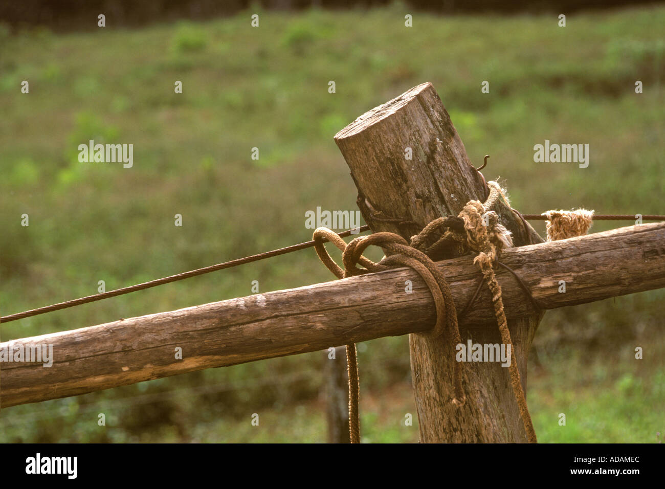Detail of a boundary rope hi-res stock photography and images - Alamy