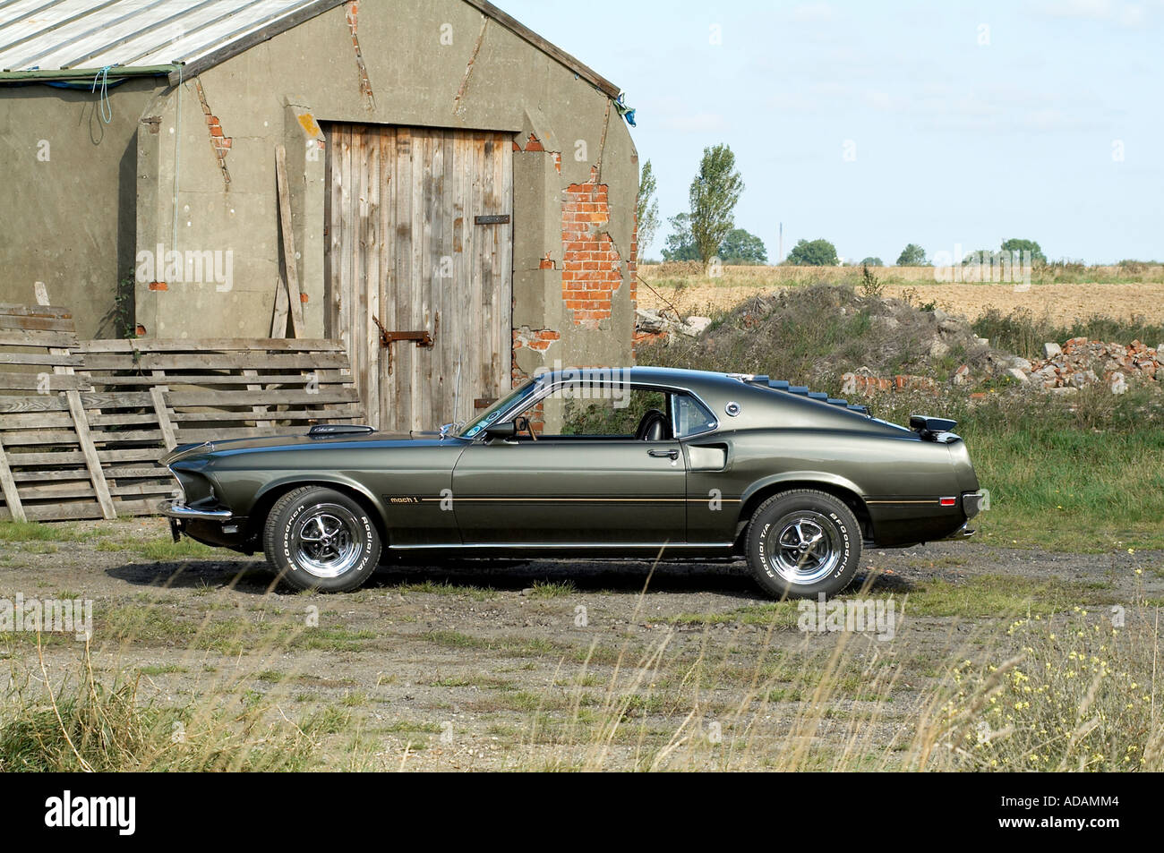 mustang, ford, 1968, cobra, jet, classic, muscle, car, v8, high ...