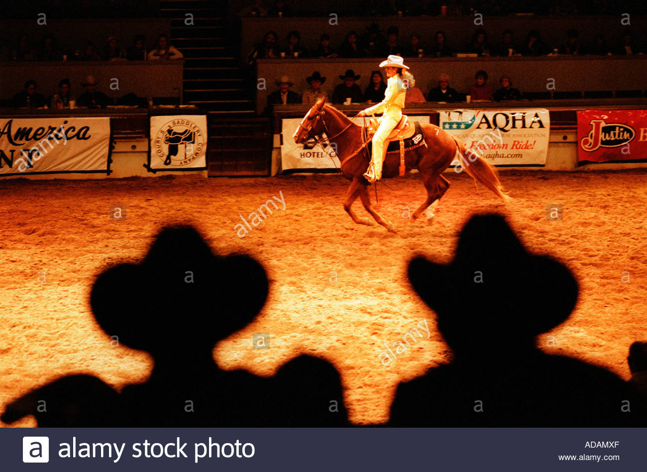 Rodeo Riding Silhouette Stock Photos & Rodeo Riding Silhouette Stock ...