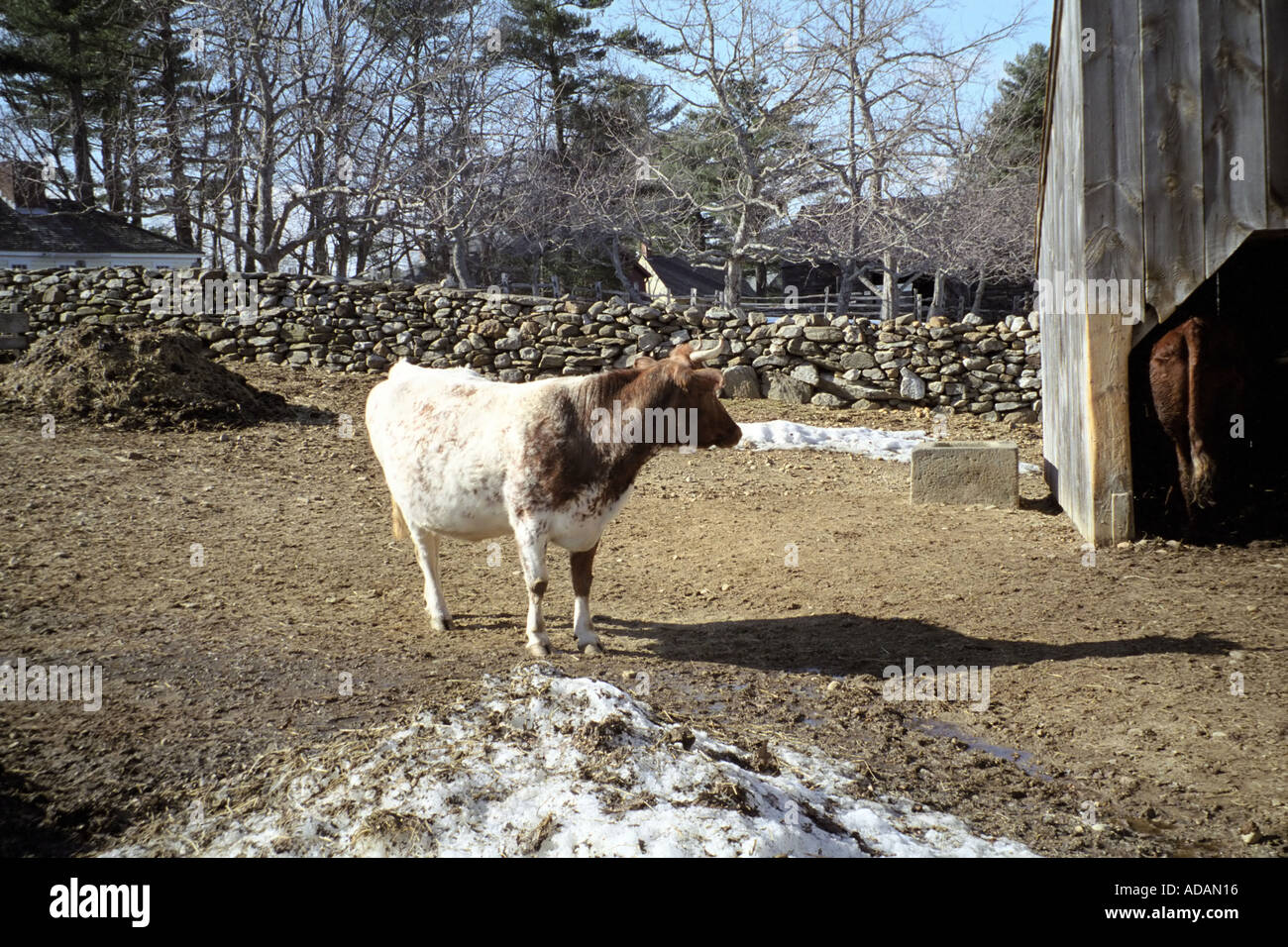 Sturbridge church hi-res stock photography and images - Alamy