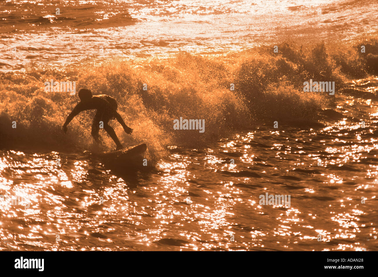 Native Hawaiian Surfer Ala Moana Beach Park Oahu Hawaii USA Stock Photo ...