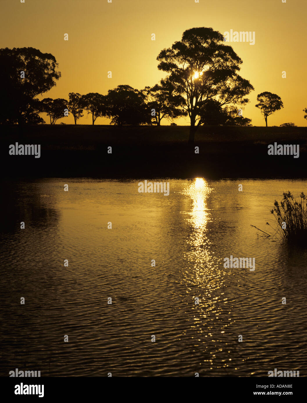 Waranga victoria australia hi-res stock photography and images - Alamy