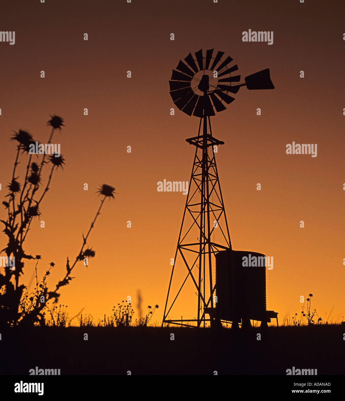 Windmill used to pump sub artesian water for rural water supply common ...