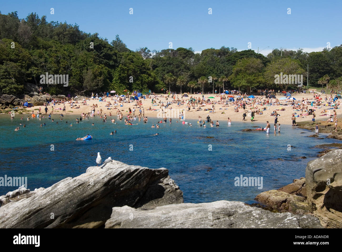 Shelly Beach Manly Sydney New South Wales Australia Stock Photo Alamy