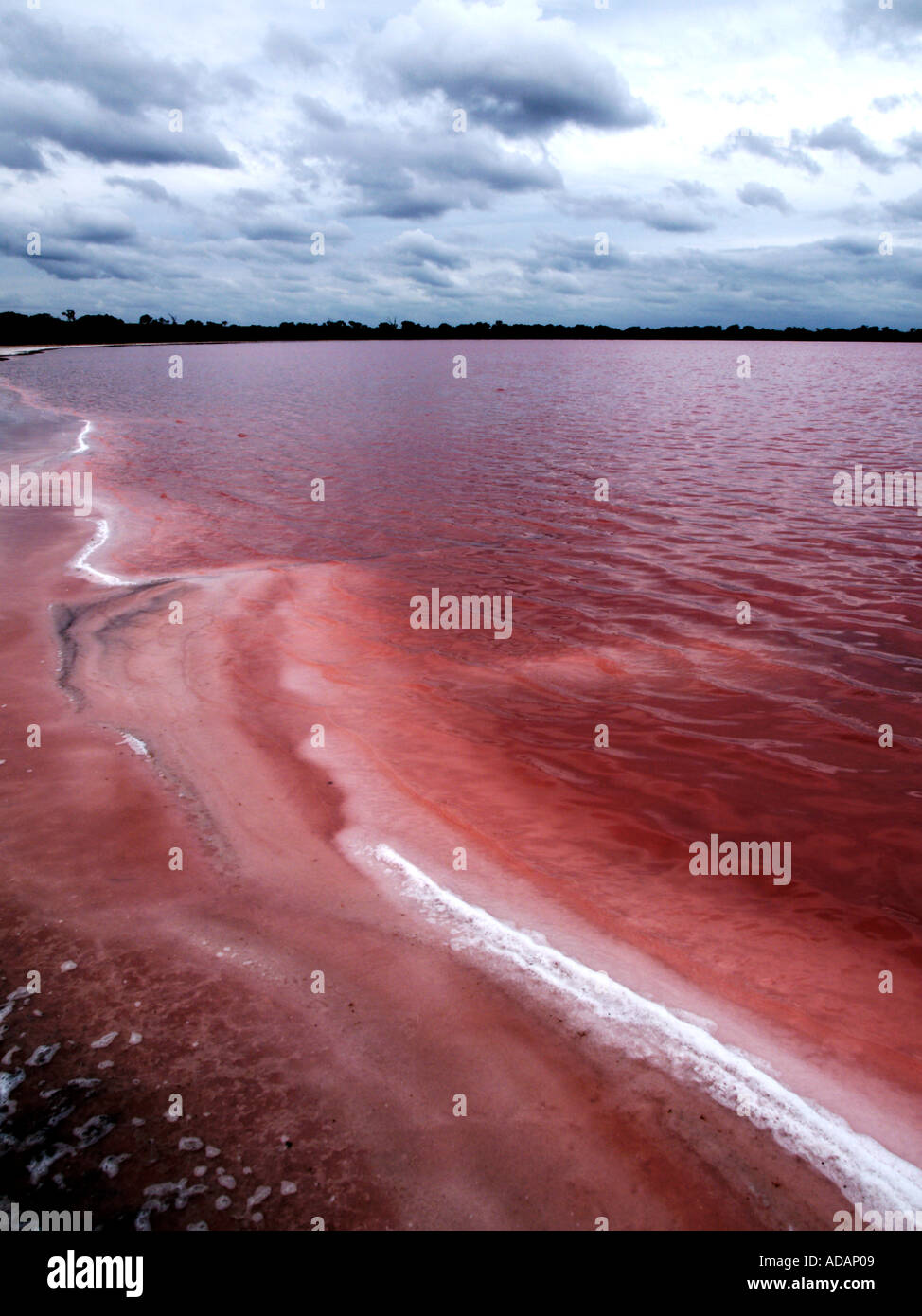 Pink Lake near Horsham Victoria its colour caused by algae that produce ...