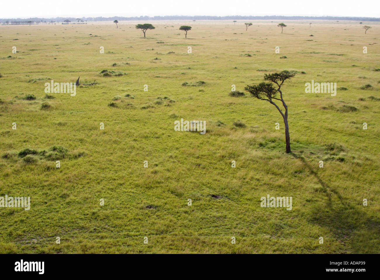 Aerial view of the Masai Mara National Reserve in Kenya Stock Photo - Alamy