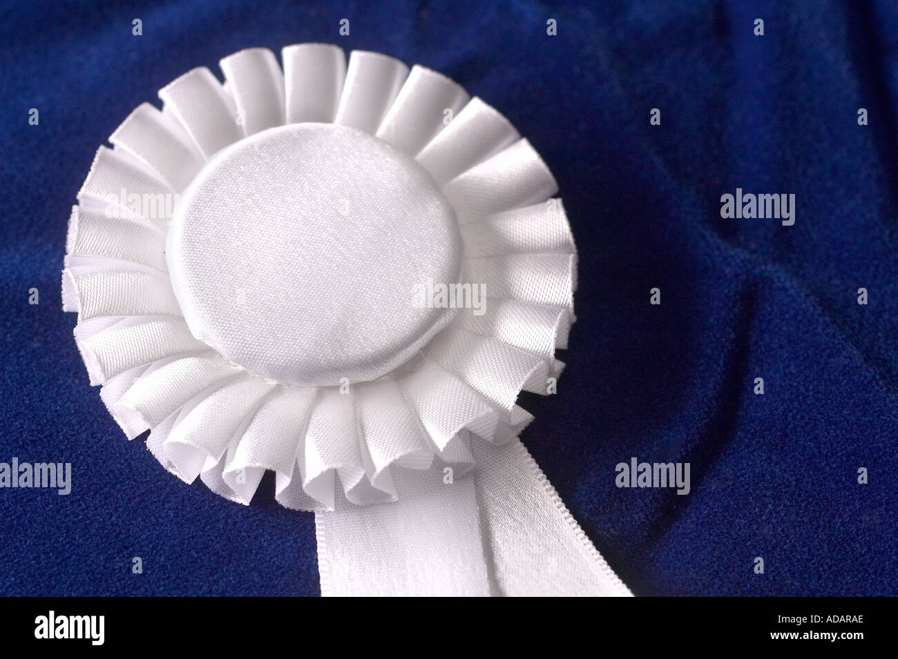 First Place Ribbon Winner Stock Photo - Alamy