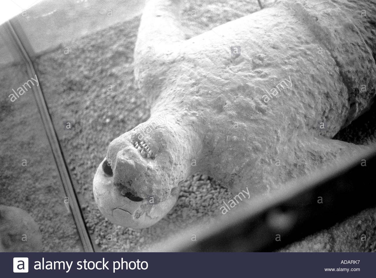 Pompeii Vesuvius Bodies Stock Photos & Pompeii Vesuvius Bodies Stock ...