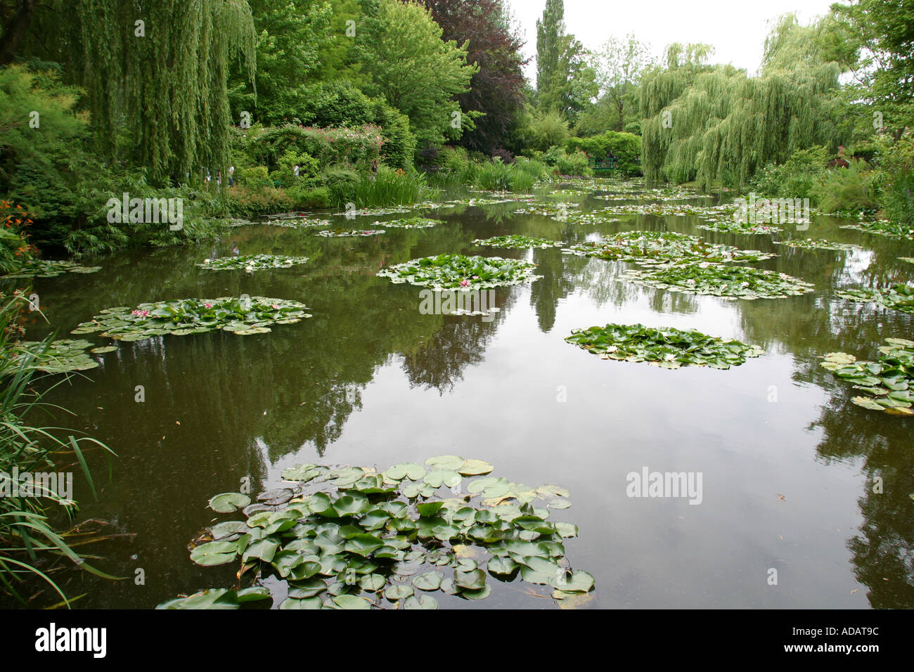 Monet s garden Giverny Normandy France Stock Photo - Alamy