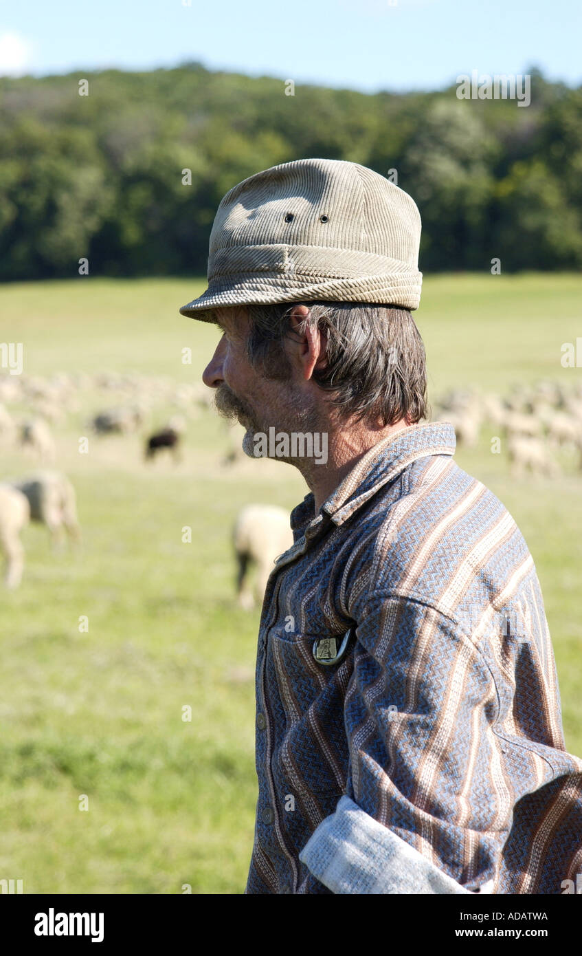 Shepherd watching his sheep hi-res stock photography and images - Alamy