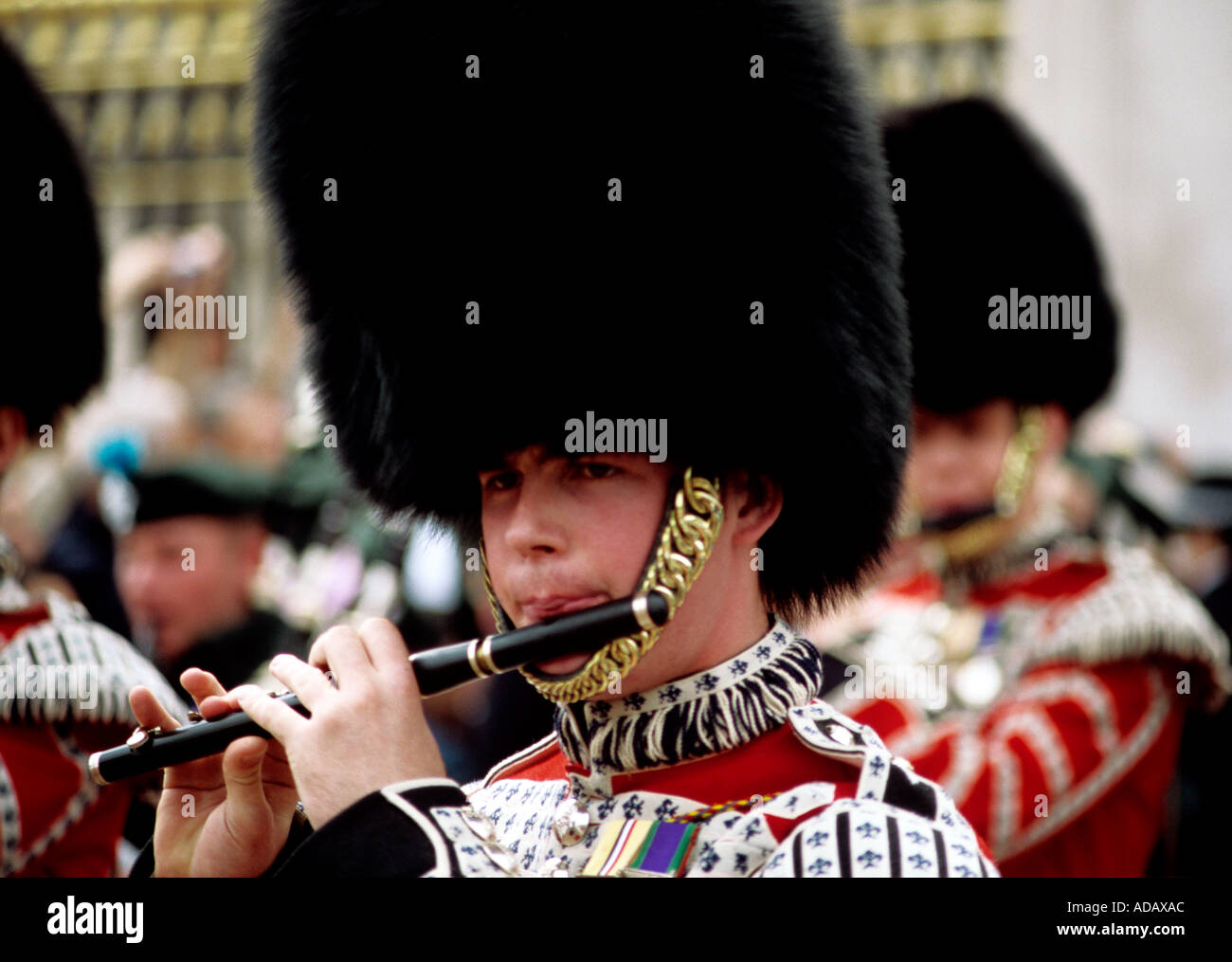 Guards Bandsman London England United Kingdom Stock Photo - Alamy
