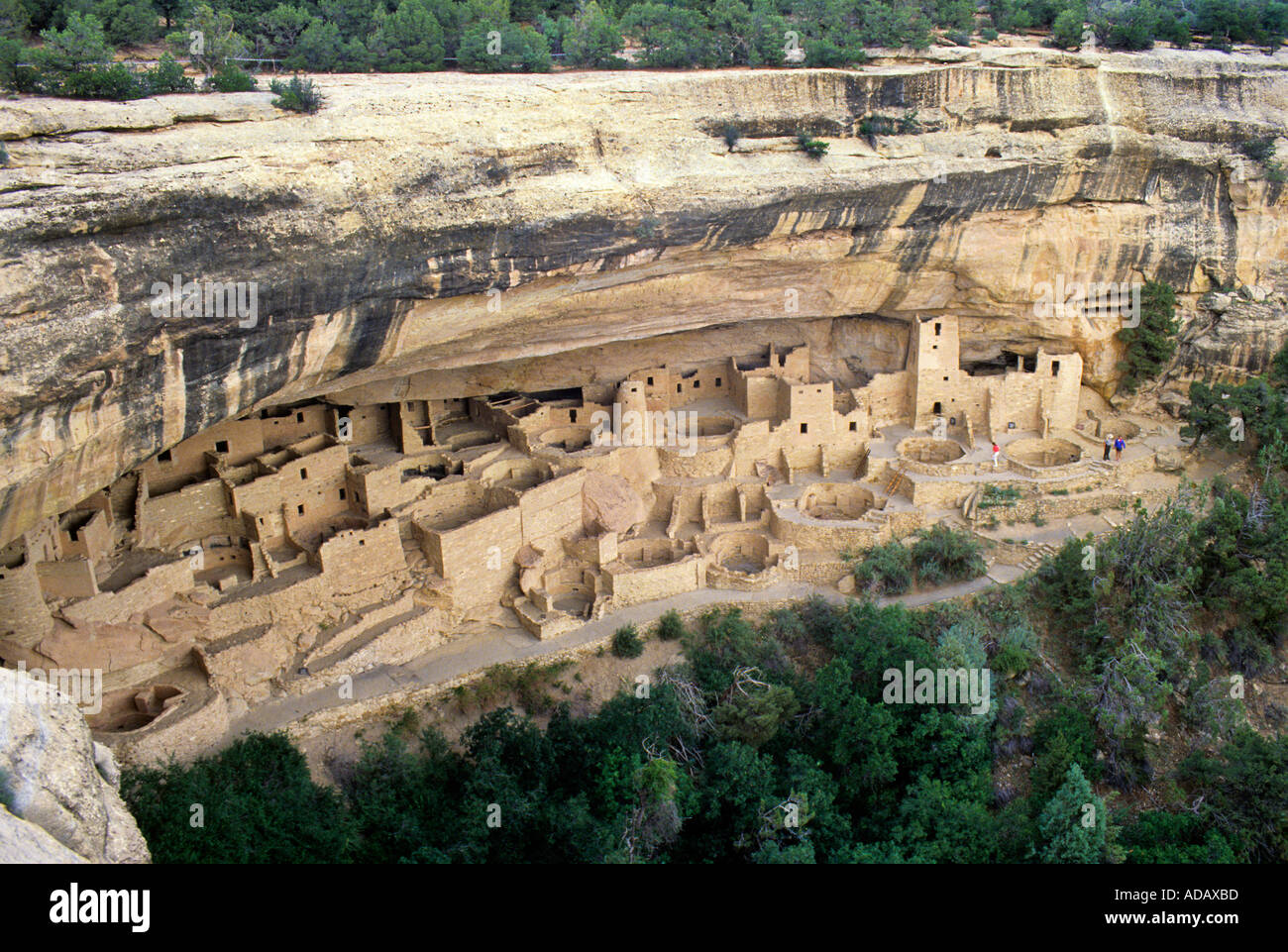 People in Cliff Palace Mesa Verde Colorado USA Stock Photo - Alamy