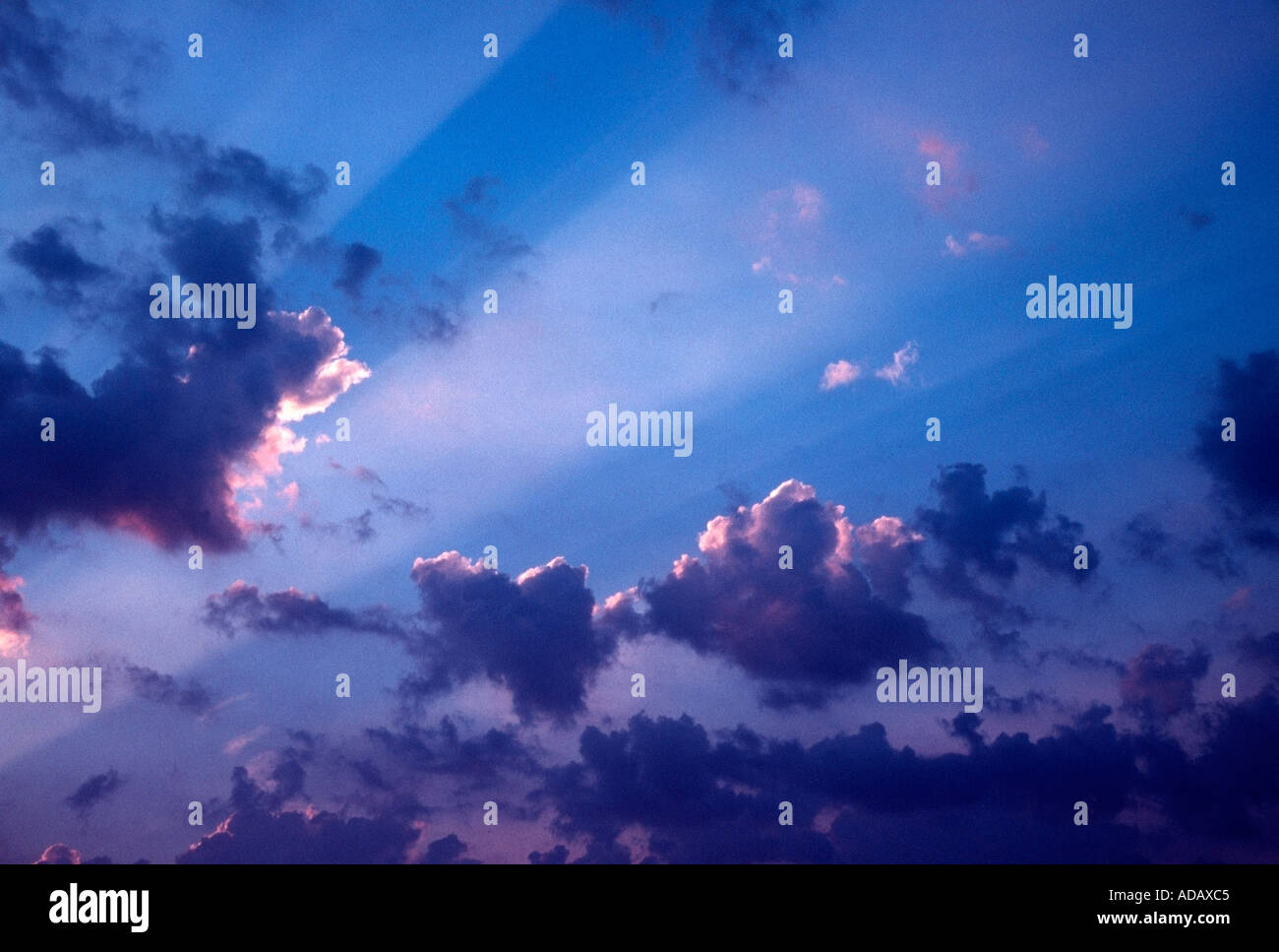 What Does Early Morning Sun Do To The Body at Nathaniel Ackerman blog