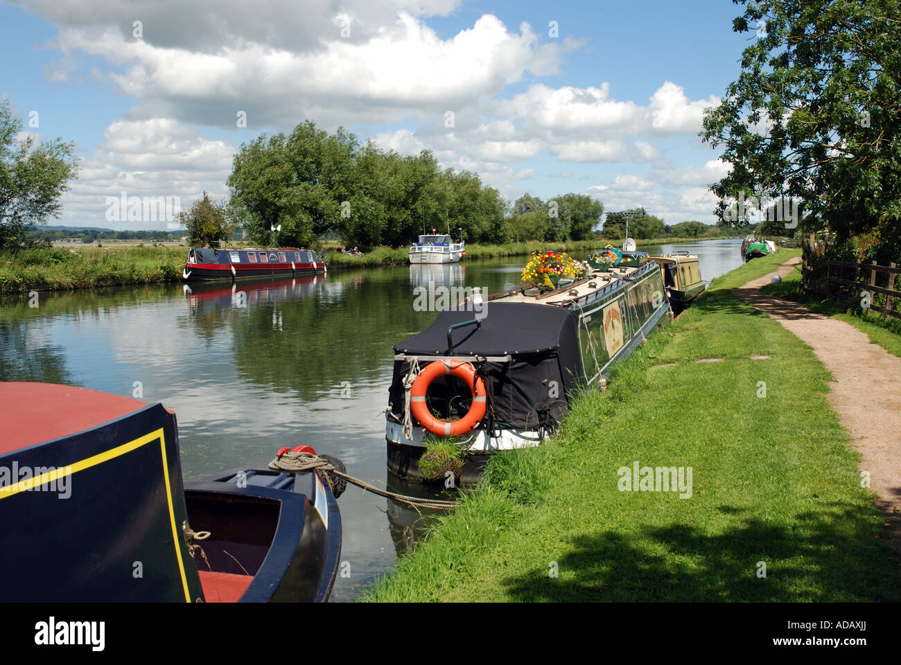 Sharpness gloucestershire hi-res stock photography and images - Alamy