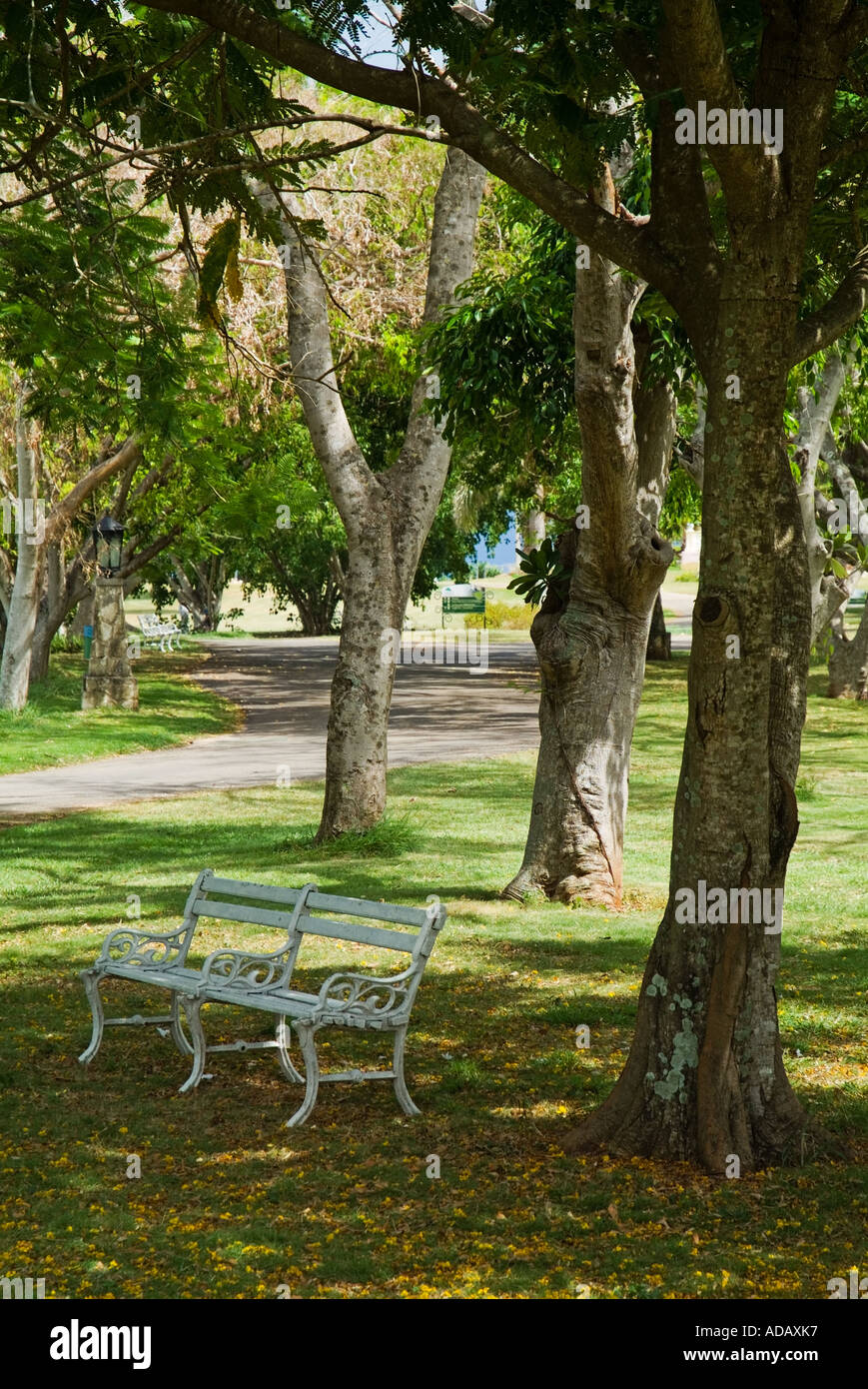 Parque josone hi-res stock photography and images - Alamy