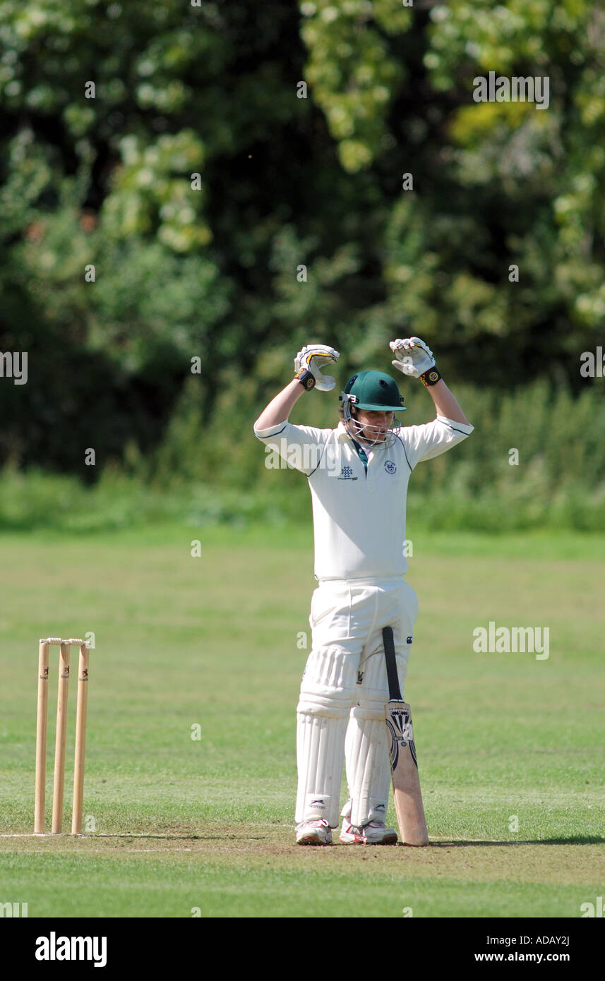 Batsman stretching, village cricket at Elmley Castle, Worcestershire ...